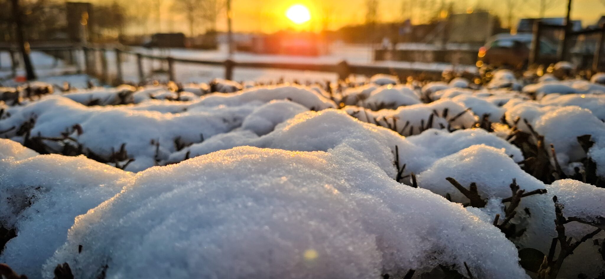 Tim van Wessel Schuytgraaf2 | inSchuytgraaf